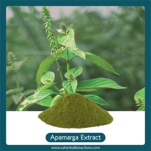 Achyranthes Aspera Extract - SA Herbal Bioactives