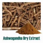 Withania Somnifera Extract - SA Herbal Bioactives