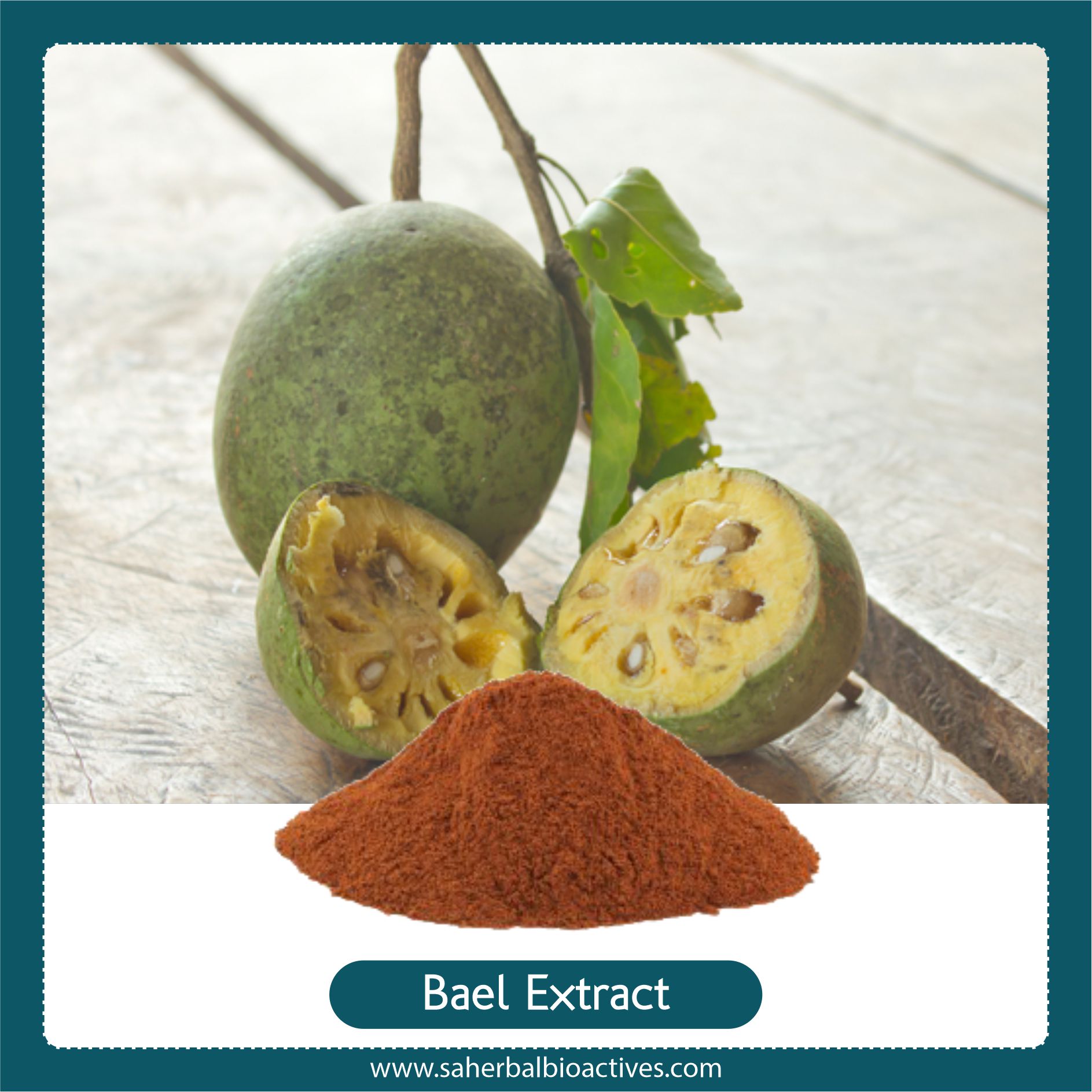 Aegle Marmelos Bael Extract SA Herbal Bioactives Aegle Marmelos Bael Extract SA Herbal Bioactives