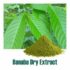 Lagerstroemia Speciosa Extract Standardized Herbal Extract Manufacturer