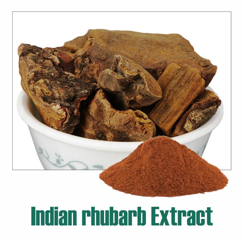 Rheum Emodi Extract - Standardized Botanical Extracts Manufacturer