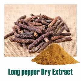 Indian Long Pepper Extract - Standardized Botanical Extracts Manufacturer