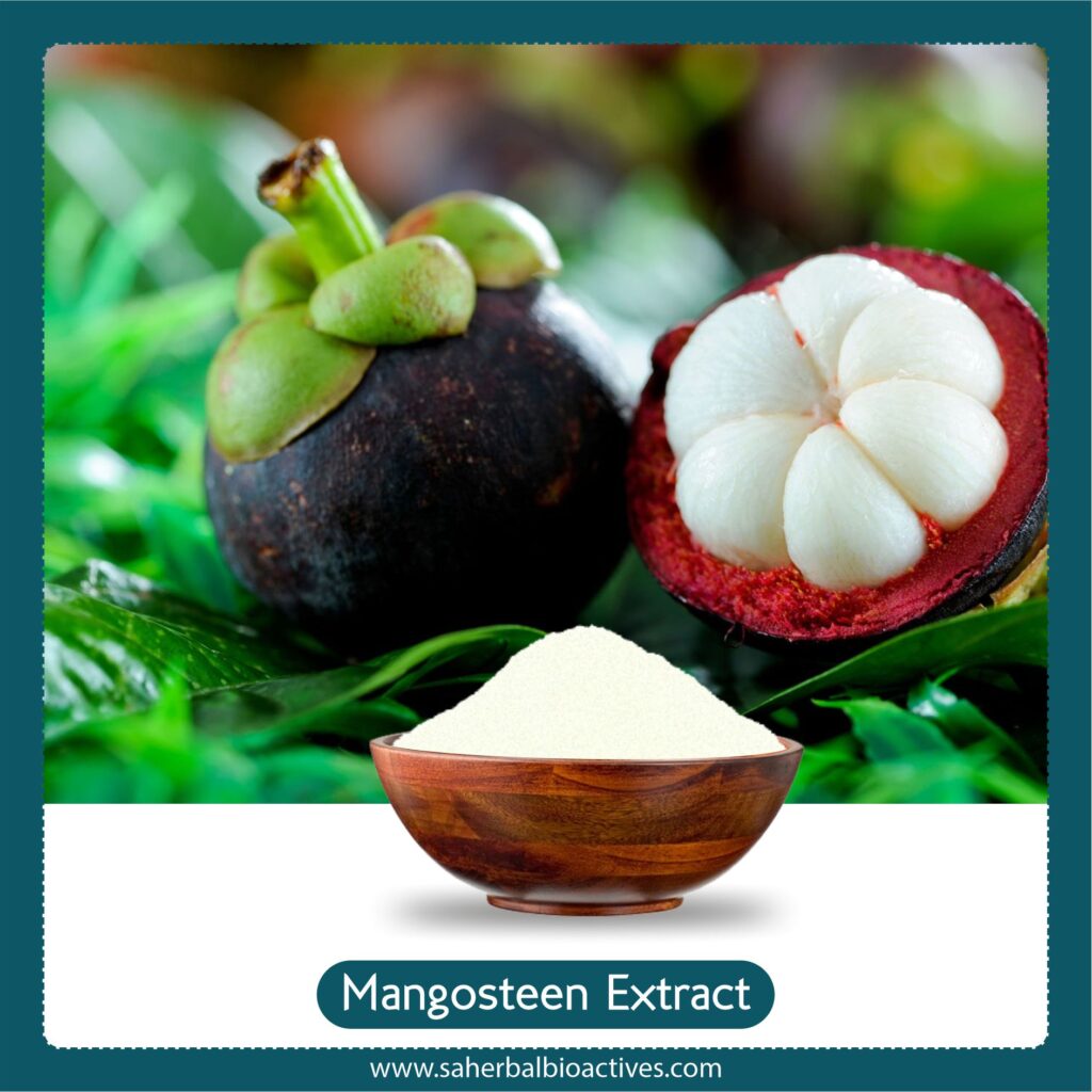 Garcinia Mangostana Extract - SA Herbal Bioactives