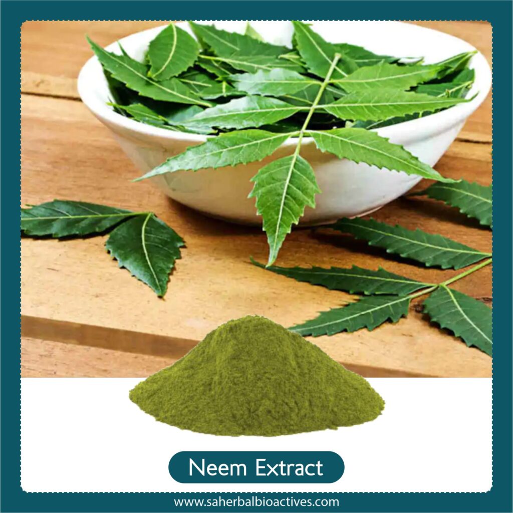 Manufacturer of Azadirachta Indica Extract I Neem extract