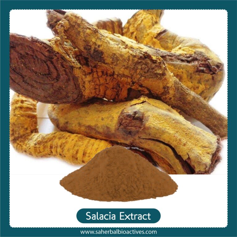 Salacia Reticulata / Oblonga Extract - SA Herbal Bioactives