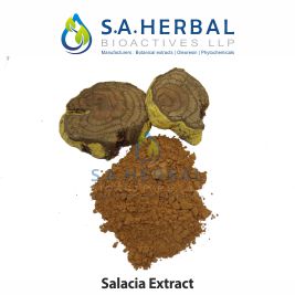 Salacia Reticulata Extract - Bulk Herbal Extract Manufacturer Company