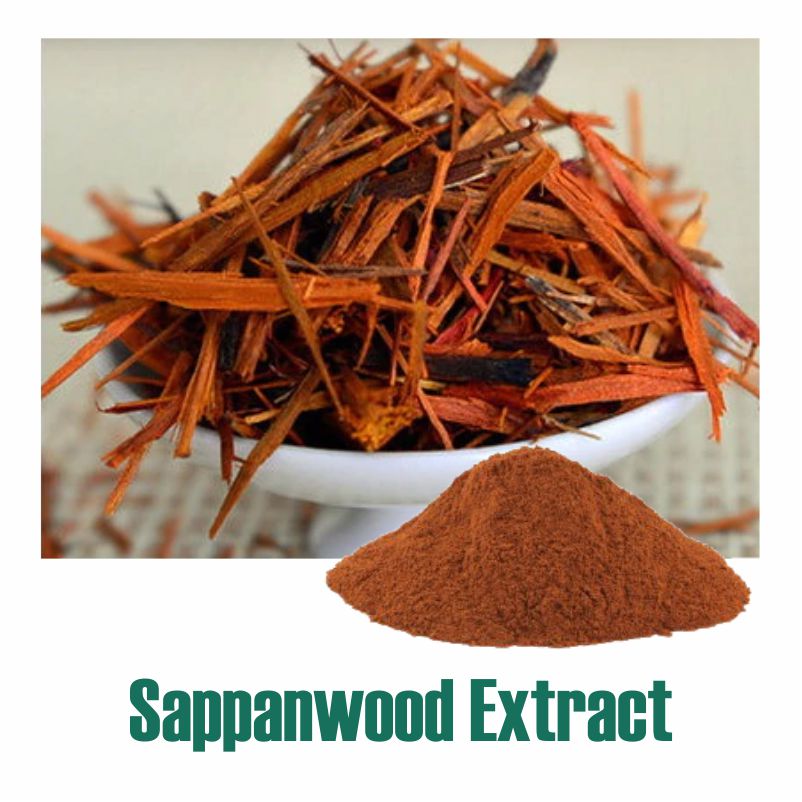 Sappanwood Extract - Caelsalpinia Sappan Extract Manufacturer